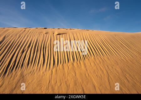 Beautiful dunesscenery of the Slowinski National Park by the Baltic Sea ...