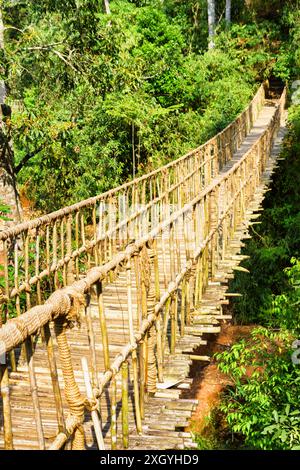 Scenic simple suspension bridge. Amazing footbridge made from rope and ...