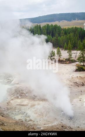 The Mud Geysers, Mud Volcano Group, Yellowstone National Park, Wyoming ...