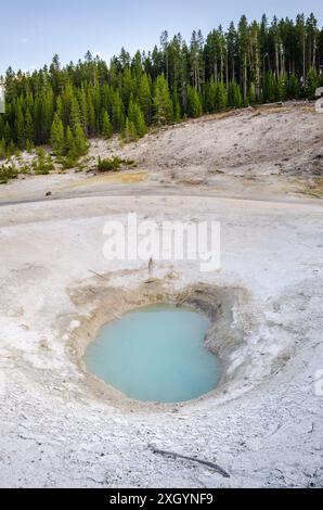 Steaming geysers, Norris Geyser Basin, Yellowstone National Park ...