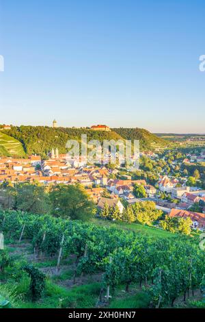 Schloss Neuenburg Castle, vineyard, Old Town Freyburg Unstrut Sachsen ...