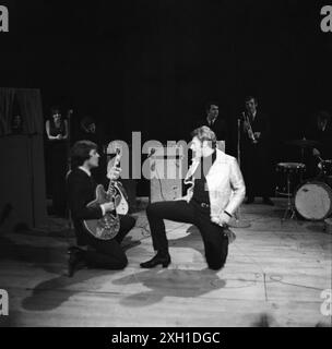Johnny Hallyday in concert, circa 1966 Stock Photo - Alamy