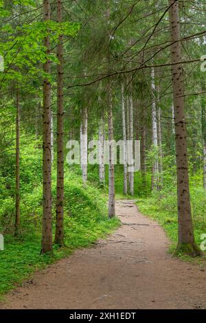 Pass Gorge Trail in the Passeier Valley near moss, South Tyrol Stock ...