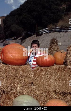 Solvang, CA. U.S.A. 10/1987. The Solvang Farmer Pumpkin Patch ...