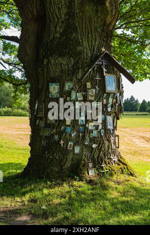 Old oak tree with holy objects of Orthodox religion hanging on it Stock ...