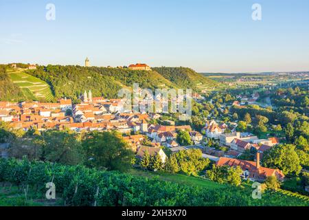Schloss Neuenburg Castle, vineyard, Old Town Freyburg Unstrut Sachsen ...