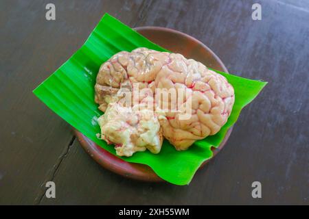 Brain cow is on a green leaf. The Brain cow is cut in half and has a ...