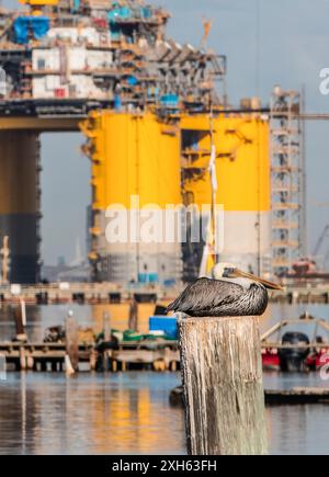 Offshore Gulf oil platform under construction at Kiewit facility on ...