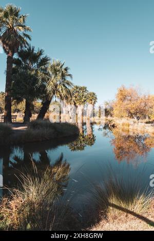 Agua Caliente Regional Park - Tucson Arizona Stock Photo - Alamy