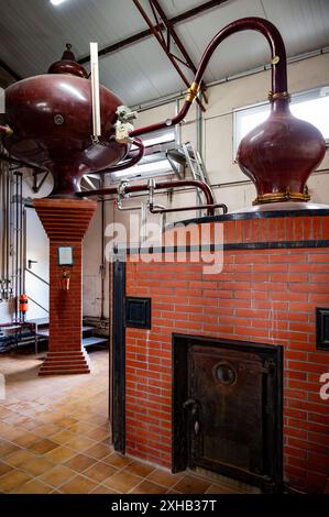 Double distillation process of cognac spirits in Charentias copper ...
