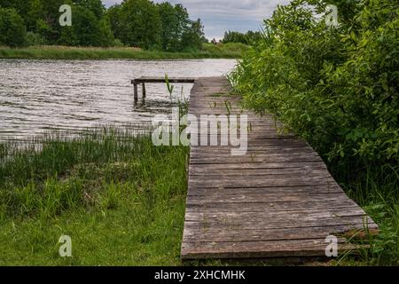 A wooden jetty leading into the Zahrener See (Lake Zahren) near Gallin ...