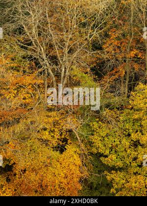 South Shropshire landscapes and woodland viewed from Hopesay Common ...