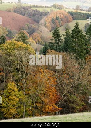 South Shropshire landscapes and woodland viewed from Hopesay Common ...