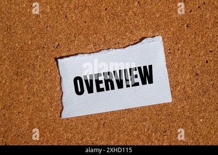 Overview word written on ripped pink paper with yellow background ...