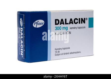box of pfizer hungarian 300mg dalacin antibiotic capsules tablets cut ...