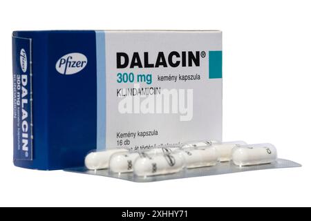 box of pfizer hungarian 300mg dalacin antibiotic capsules tablets cut ...