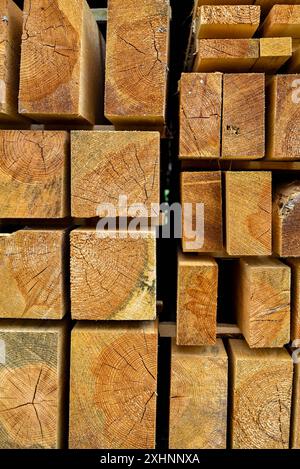 wooden blocks and boards of different sizes lie on the ground in the ...