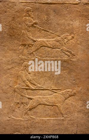 Keepers with mastiffs on the edge of lion-hunt area. Part of Lion Hunt ...