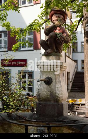 Monkey fountain on Andreasplatz, old town Grossbasel, Basel, Canton of ...