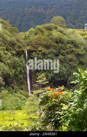 French Polynesia, Tahiti island, Papenoo valley, wild and green ...