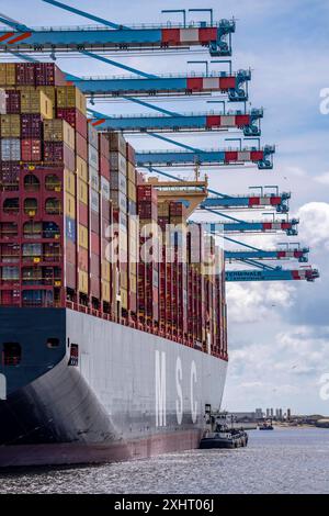 APM Container Terminal, Container Frachter wird be- und entladen ...