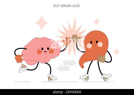 Gut-brain axis. The communication between the gut and brain. Gut microbiota, Blood circulation ...