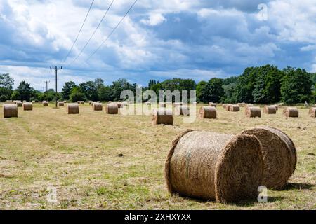 Round hay bales Ufford Suffolk England Stock Photo - Alamy