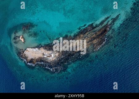 mayotte lagoon biodiversity Stock Photo - Alamy