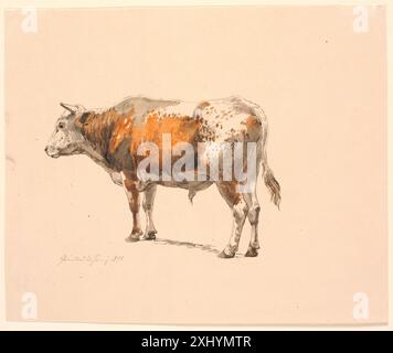 Standing bull, to the left Stock Photo - Alamy
