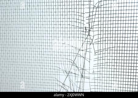 Torn window screen against white background, closeup Stock Photo - Alamy