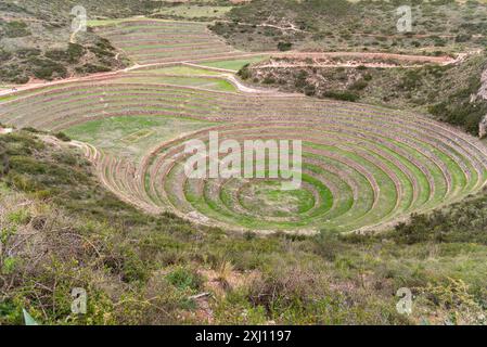 Moray place, an inca farm where them recolected vegetables and cereals ...