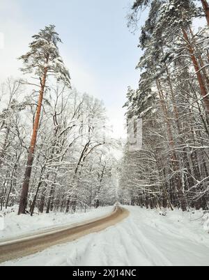 Curvy road through winter park covered in snow Stock Photo - Alamy