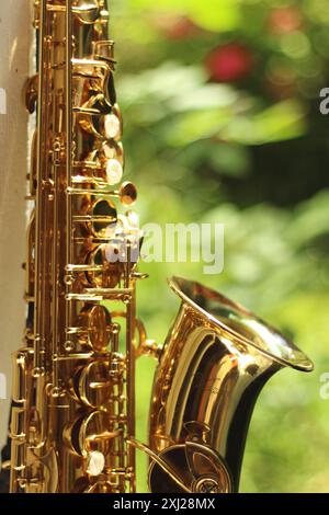 A stunning image of an alto saxophone captured with a wide aperture ...