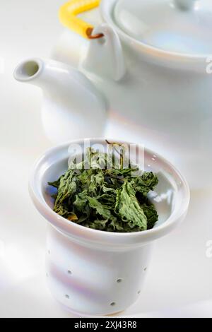 Loose tea in teapot sieve Stock Photo - Alamy