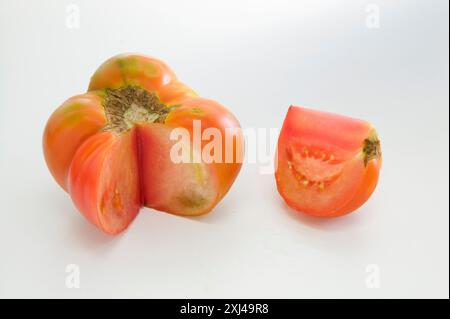 Tomato from Montserrat Stock Photo - Alamy