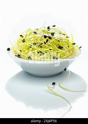 wild garlic sprouts Stock Photo - Alamy