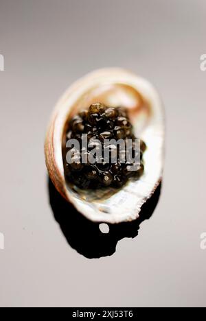Black caviar in a shell Stock Photo - Alamy
