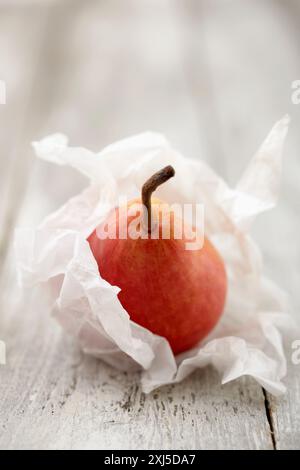 Pear wrapped in silk paper Stock Photo - Alamy
