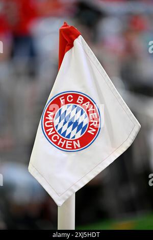FC Bayern Munich FCB corner flag, logo, Allianz Arena, Munich, Bavaria ...