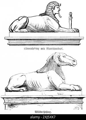 Ancient Egyptian sphinx, lion sphinx lying with human head, historical ...