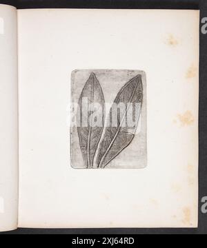An intaglio print by Peter Larsen Kyhl showing the imprint of bay ...