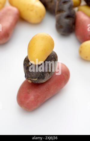 Three different colored potatoes Stock Photo - Alamy
