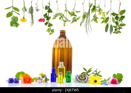 Selection of essential oils, with herbs and flowers on white background ...