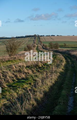 The Ridgeway, a pathway which is the oldest right of way in the UK ...