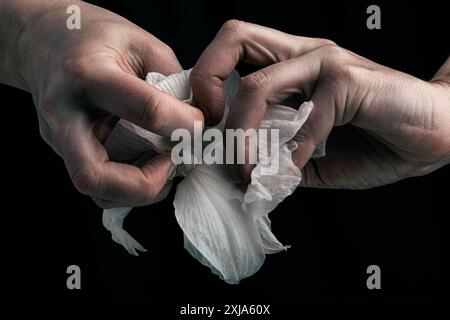 hands tearing white fragile flower, metaphor of violence abuse ...