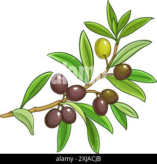 Olive Branch Colored Detailed Illustration Stock Vector Image & Art - Alamy