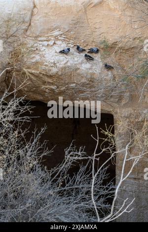 Nabatean water cistern used for collecting flood water Photographed at ...