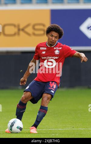 Tiago Santos of LOSC during the Ligue 1 McDonald's match between Paris ...