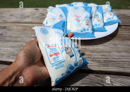 hands holding Amul Taaza Milk pouch. Amul dairy products. Branded Amul ...