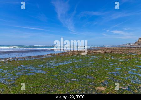 Praia do sul beach, Ericeira, Sintra, Lisbon coast, Portugal Stock ...